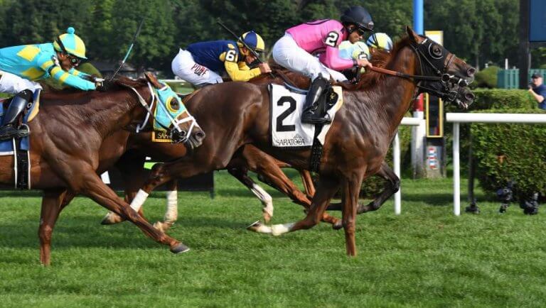 An Explanation Of Dead Heat Betting In Sports